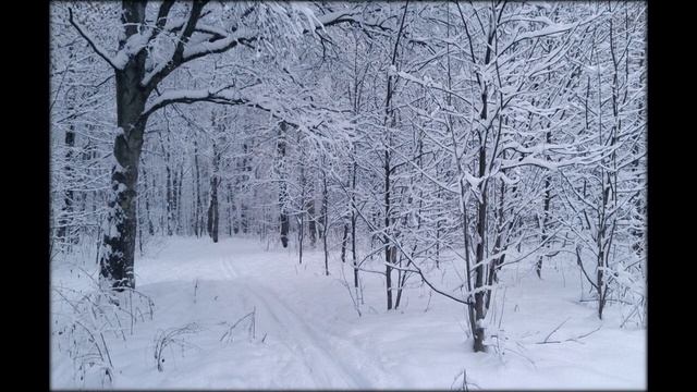 Рождественская сказка. Композ., аранж., автор фото Ю. Кучмаева