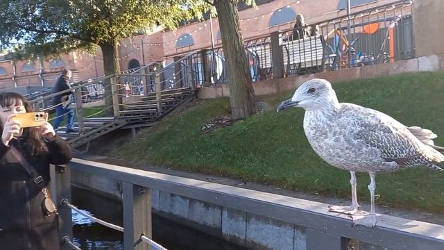 Прогулка по Питеру.