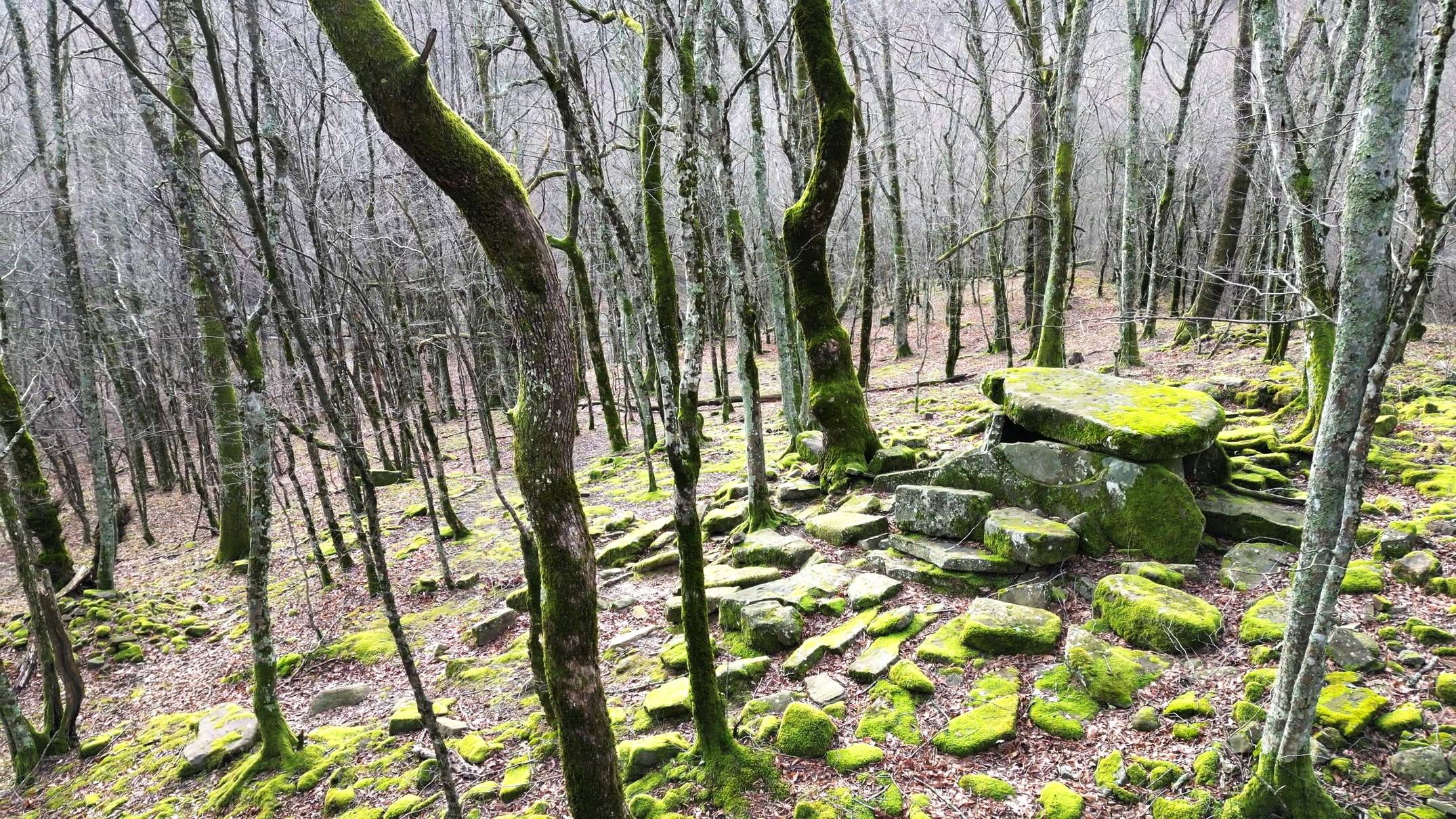 АЭРО 08 (вариант 1) - Дополнение к Видео 036 - Дольмен-МОНИТОР