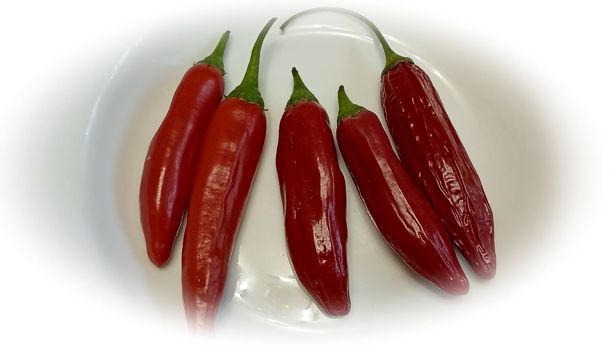 Перец Баккатум на даче и подоконнике -20024