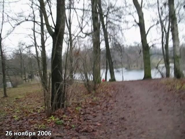 Гуляем в парке.