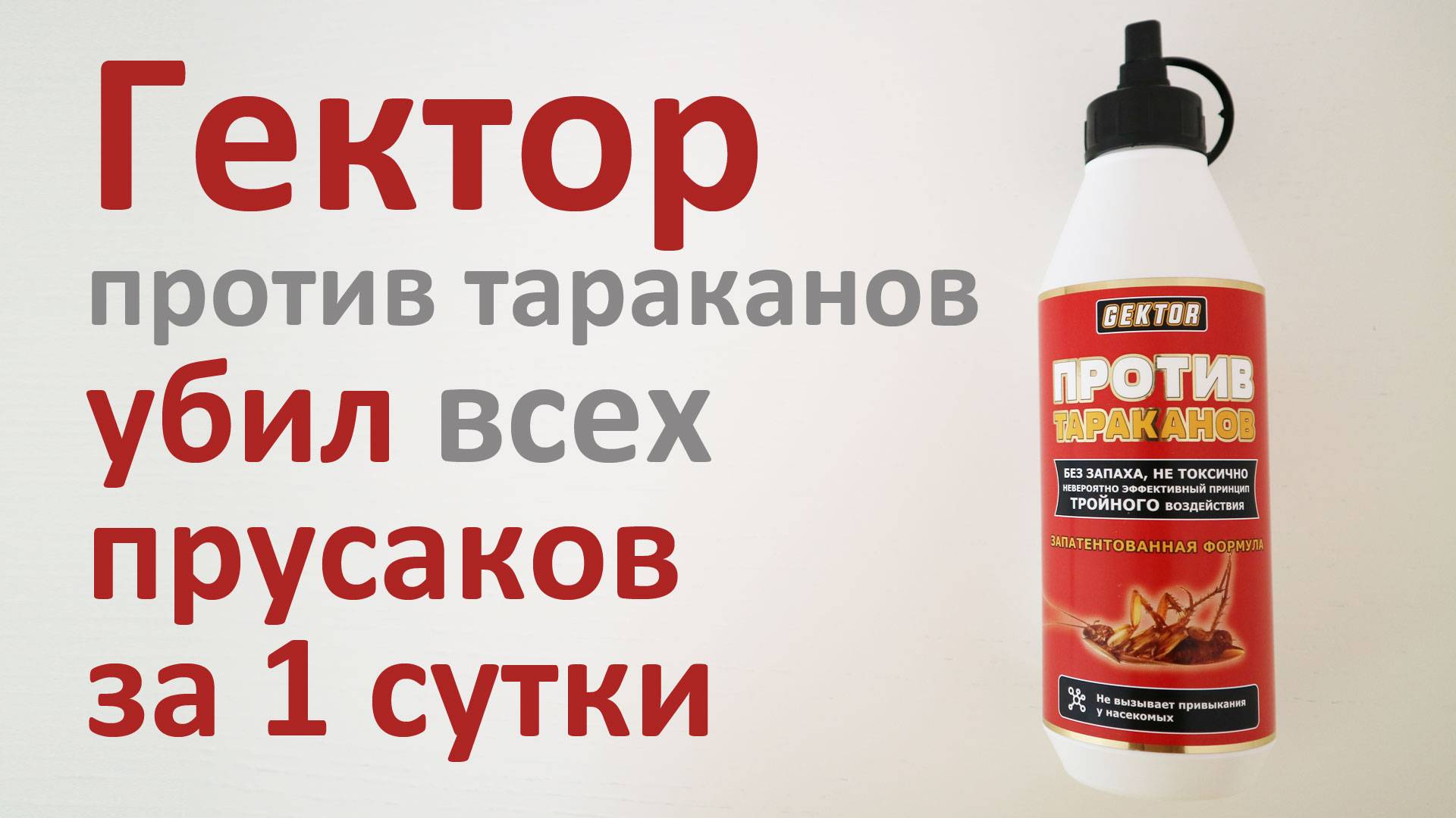 Как быстро Гектор от тараканов потушил всех прусаков?