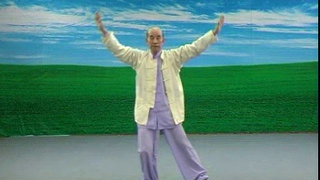 Тайцзи Цзин
