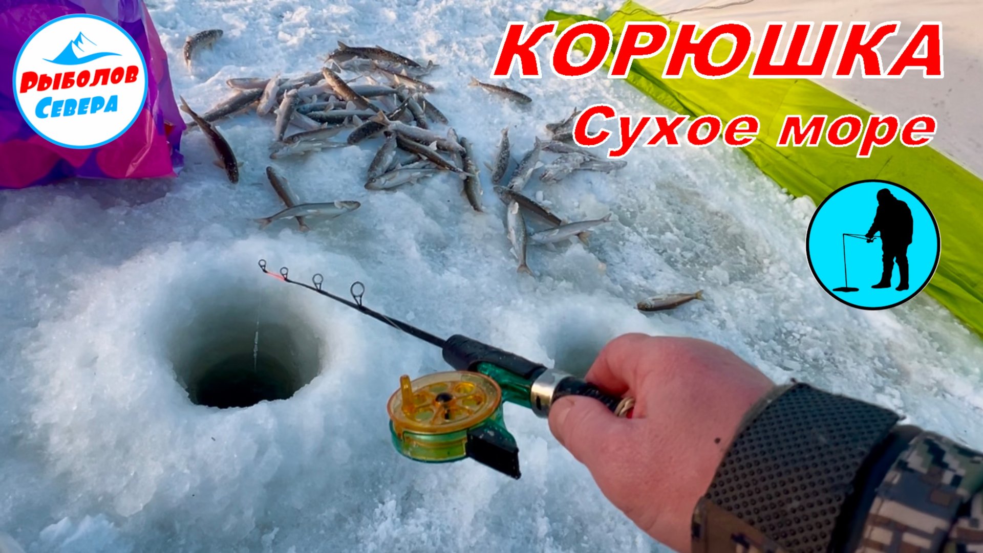 ✅ РЫБАЛКА НА КОРЮХА 2025 I БЕЛОЕ МОРЕ l СУХОЕ МОРЕ #Рыболов_Севера 4K60H