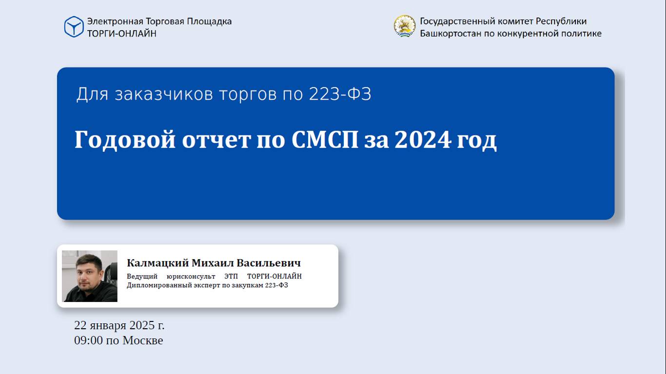 Годовой отчет по СМСП за 2024 год