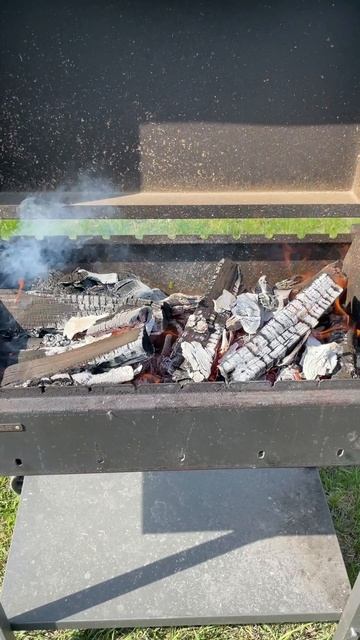Первое BBQ 2024 #bbq #шашлык