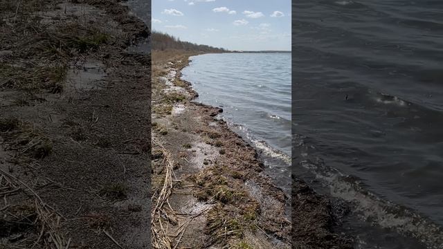 Озеро Курги 2024-04-20