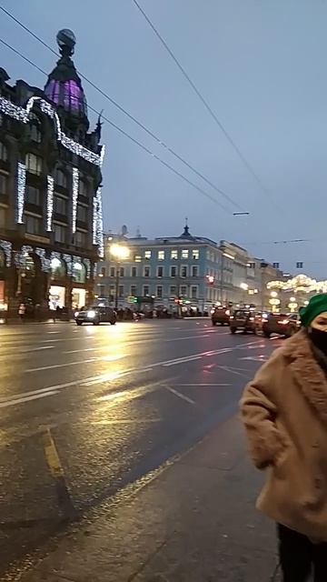 Новогодний Невский. Дом книги.