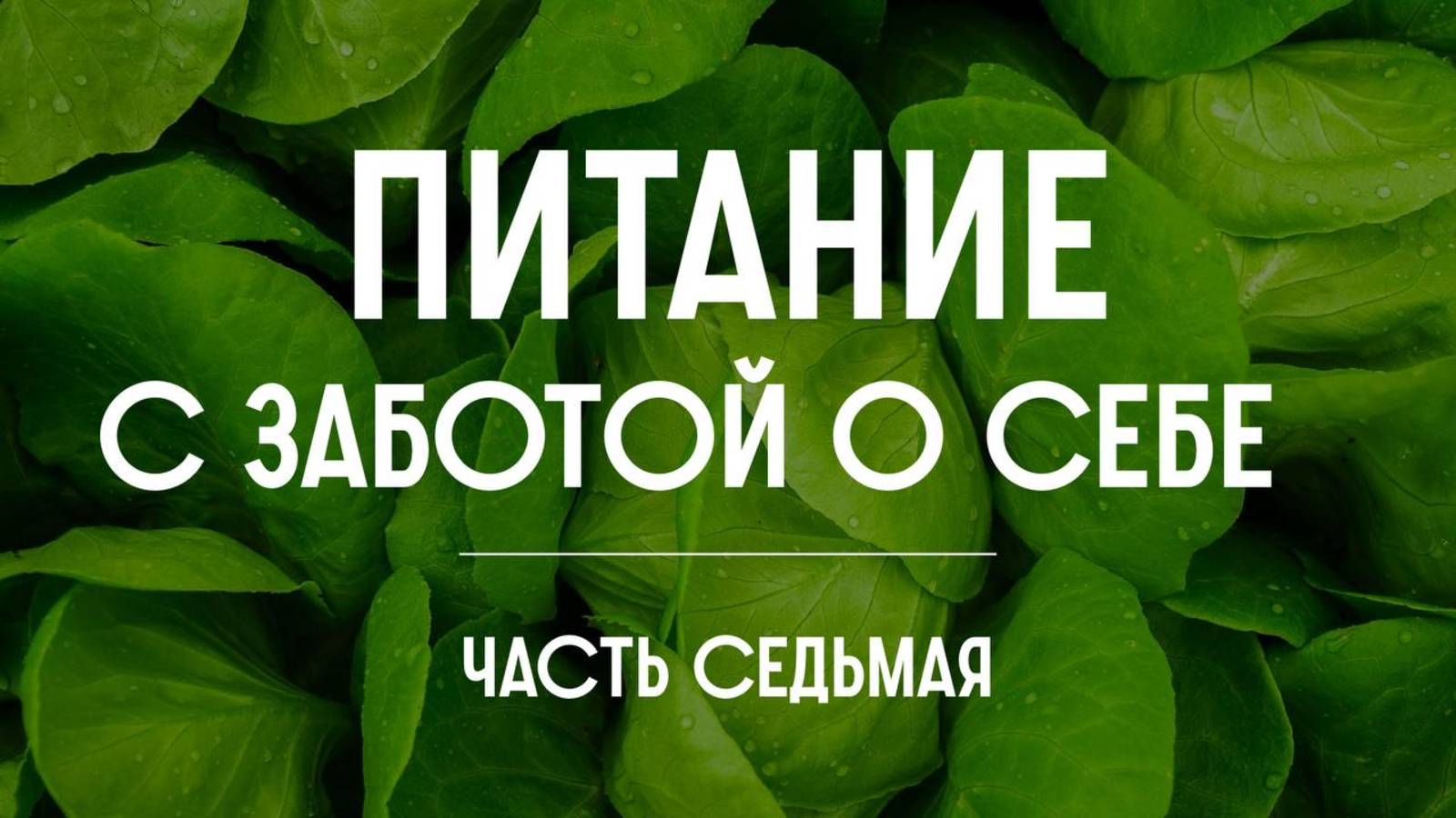Питание с заботой о себе. Часть седьмая