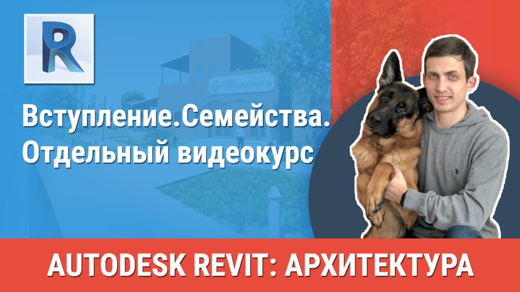 [Курс «Revit Архитектура: Продвинутый»] Семейства. Отдельный видеокурс