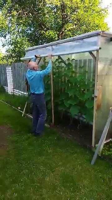 Мини парник вдоль забора, теплая грядка