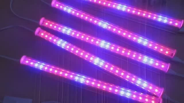 Подсветка для рассады