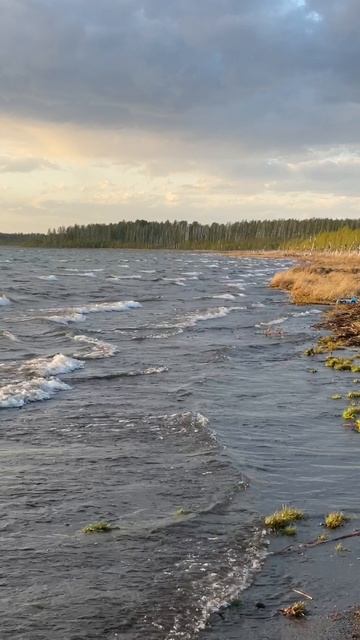 Озеро Курги 2024-04-28 #озеро #курги #челябинскаяобласть