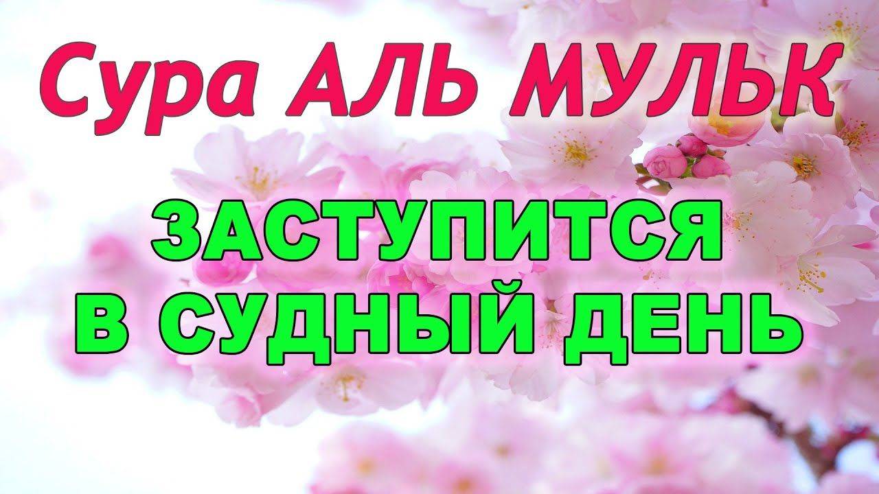 СУРА 67 АЛЬ МУЛЬК (ВЛАСТЬ) | ЗАСТУПИТСЯ ЗА ТЕБЯ В СУДНЫЙ ДЕНЬ | ИН ШАА АЛЛАХ
