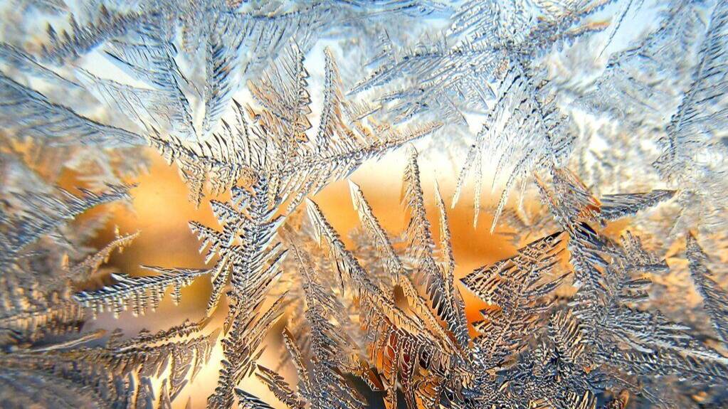 ФЕВРАЛЬ--БЛИЗНЕЦЫ