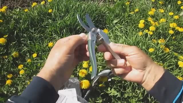 Секатор садовый