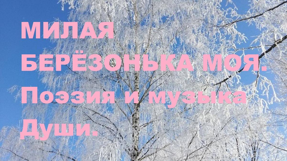 МИЛАЯ БЕРЁЗОНЬКА МОЯ. Автор стихотворения и видео А. Соколов. Музыка А. Якшиянц.