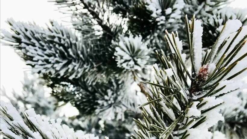 ФЕВРАЛЬ--ВЕСЫ