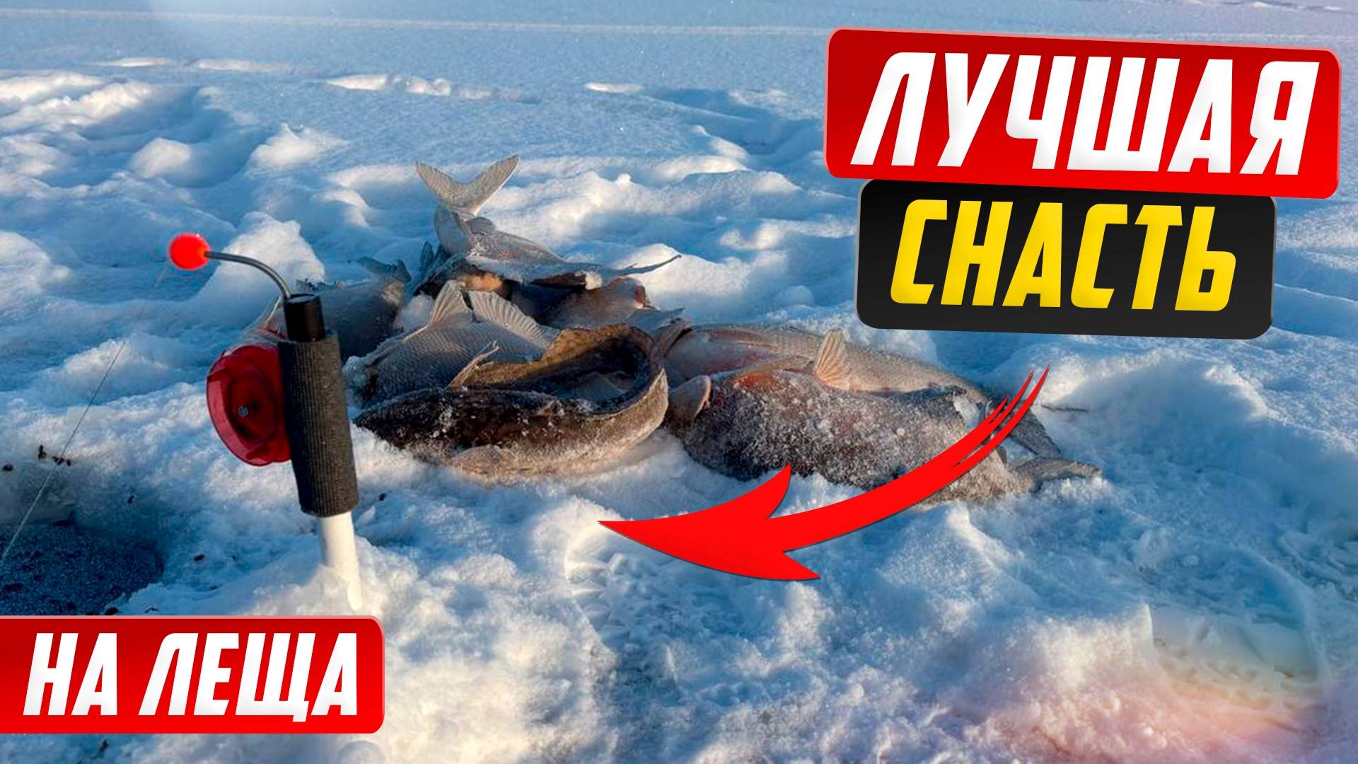 Лучшая снасть на леща зимой - это КОМБАЙН