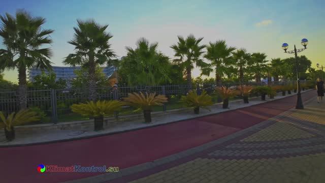 Воспоминания о лете