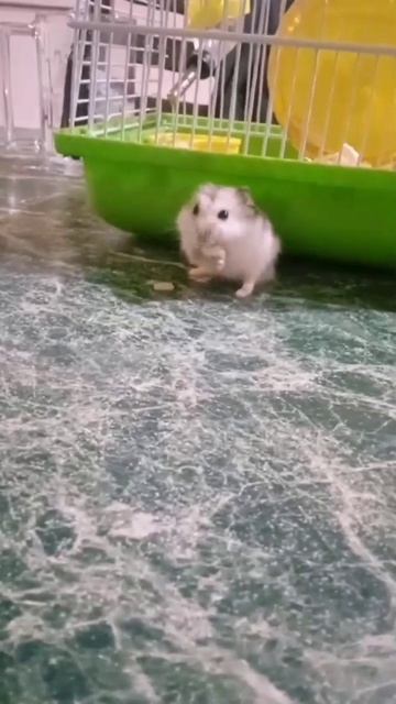 оооочень вкусненько