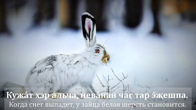 Нева́ла, рассказ на южноселькупском языке