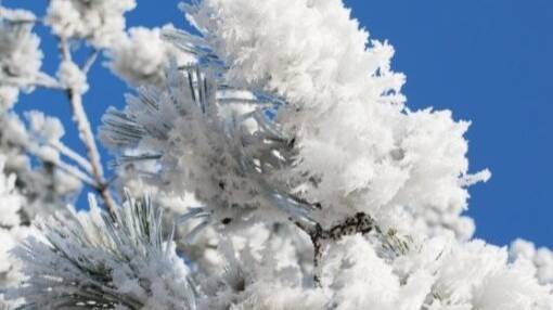 ФЕВРАЛЬ--КОЗЕРОГ