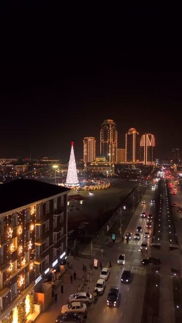 Чеченская Республика г.Грозный 2025 г.