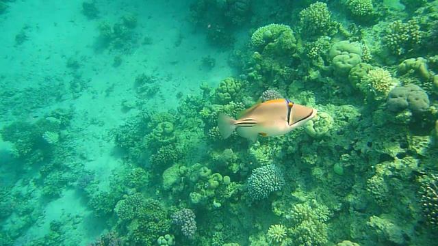 Акватория отеля Конкорд. Часть 2.