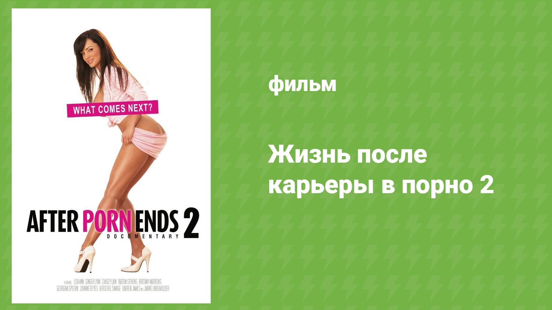 Жизнь после карьеры в порно 2 (документальный фильм, 2017)