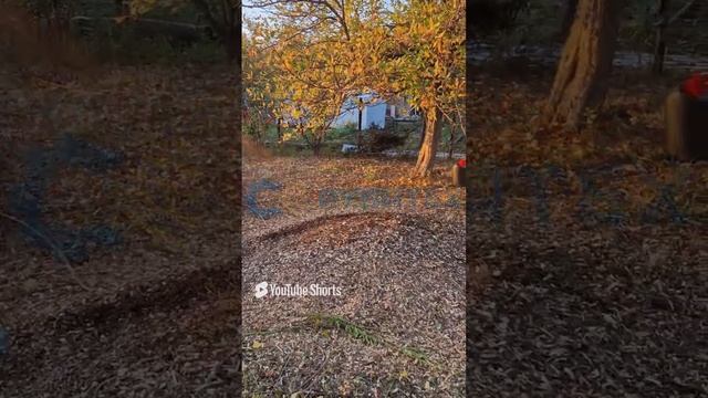 Расчистка садового участка от веток и поросли измельчителем GBK-200 PRO