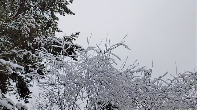 Я куплю тебе новую жизнь❤️❄️❤️❄️❤️❄️💞💘❄️