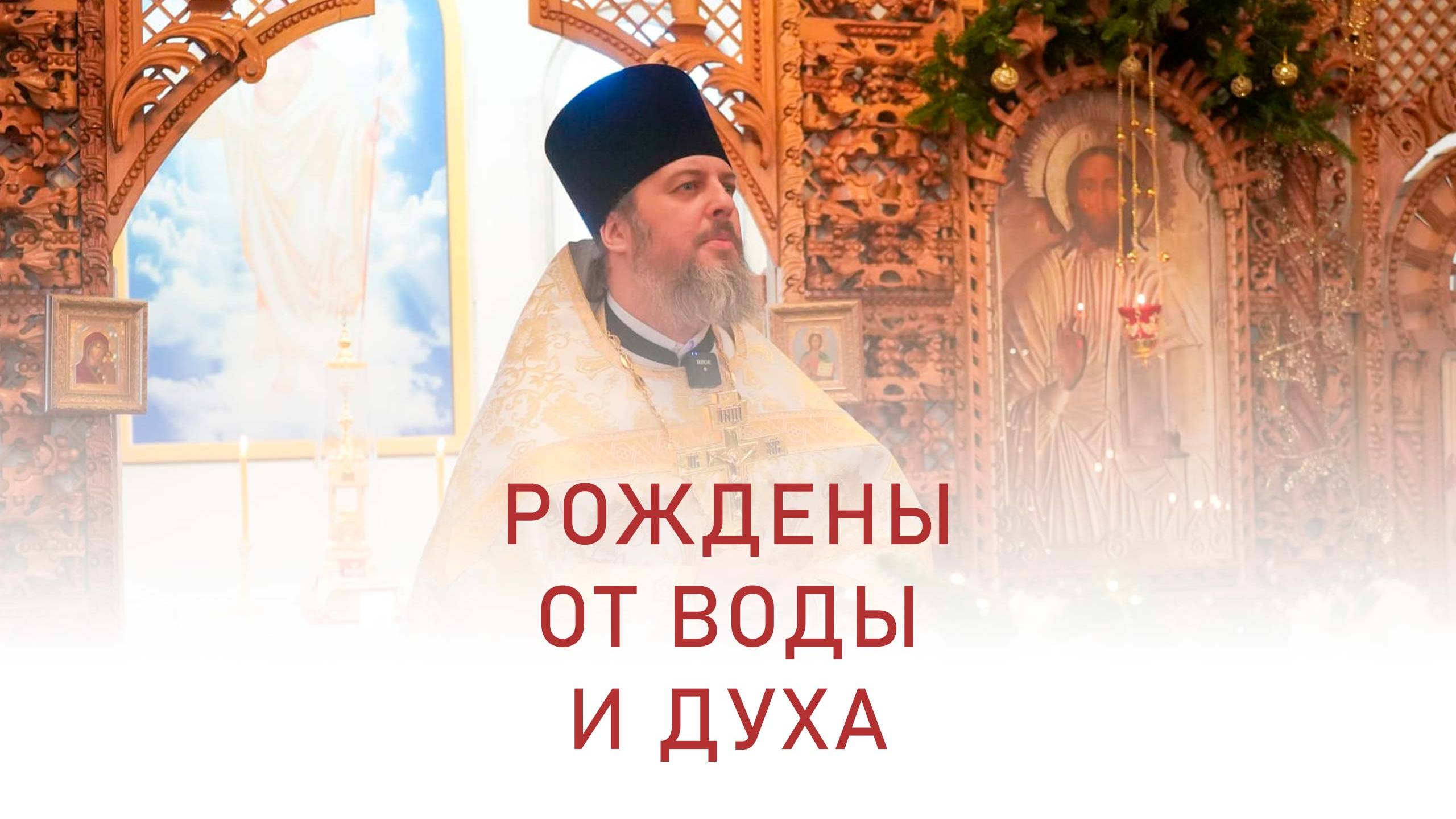 Рождены от воды и Духа. Иерей Дмитрий Михайлюк. Проповедь. 19 января 2025 г.