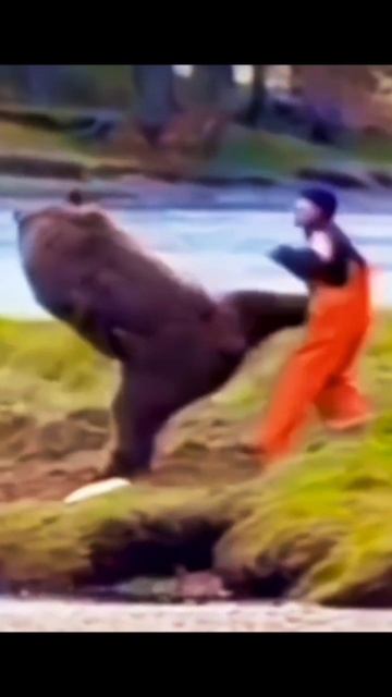 как вам эдит?