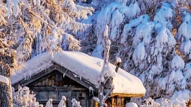 ФЕВРАЛЬ--ЛЕВ