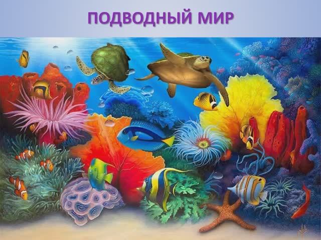 Подводный мир часть 2