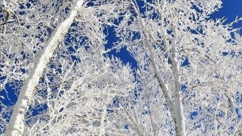 ФЕВРАЛЬ--ОВЕН