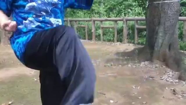 002 Лабиринты кунг-фу