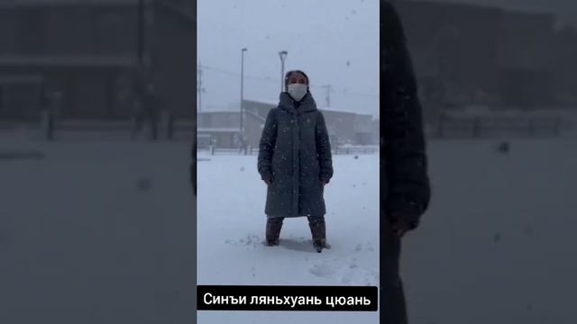Мэйки. Синъицюань на острове Японии