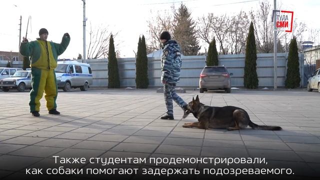 В Туле "Студенческий десант" ознакомился с работой кинологов