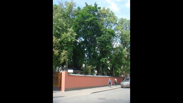 Лефортовская полицейская и пожарная часть