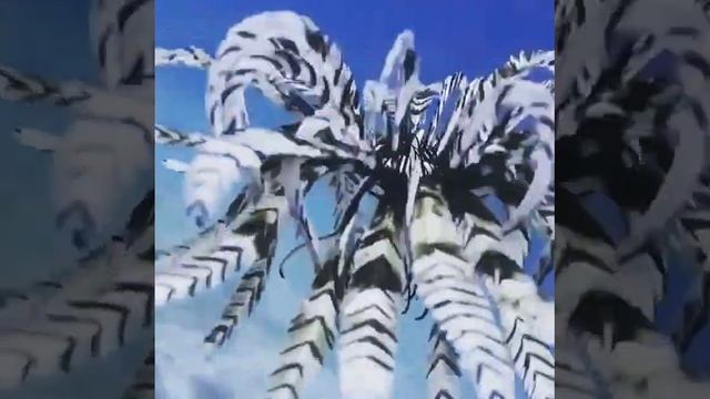 Морская Лилия | Есть  и такое животное !