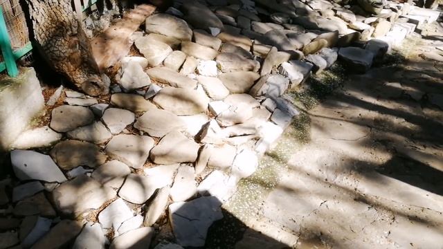 Парк Олимп в Геленджике. Отдых дикарями