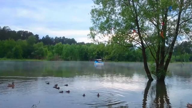 Утки на туманном озере Лебяжьем рядом с г. Казань