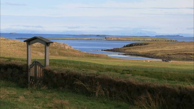 ОЧАРОВАННЫЙ СТРАННИК. Фотограф Алла Прозорова. Обзор, август 2024