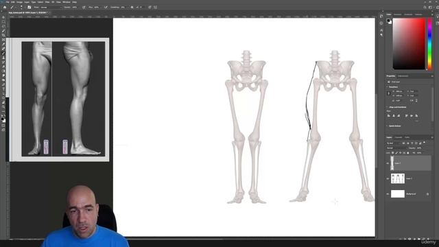 2 - Основные формы ноги