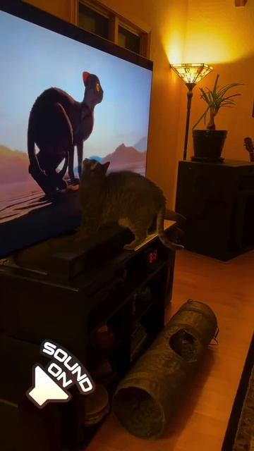 Вчера мультфильм «Течение» номинировали на «Оскар», и по такому поводу режиссёр видео