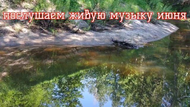 Клëвая рыбалка с Ниной на 200. _Речка Шистом. Жара. Июнь. _