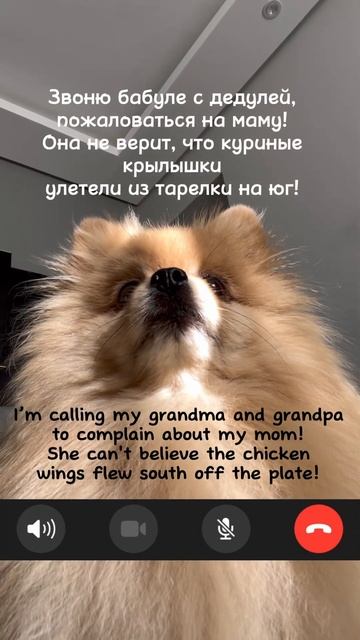 Звоню бабуле с дедулей #8