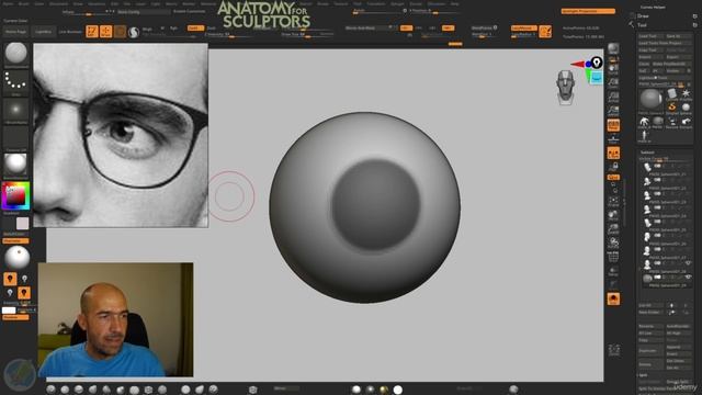 8. Анатомия головы - глазные яблоки